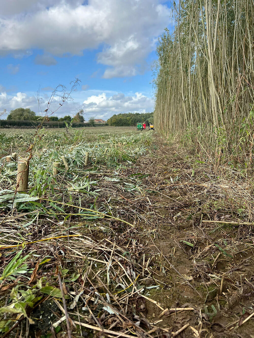 Escrick Park - Case Study - Eco Crops Ltd
